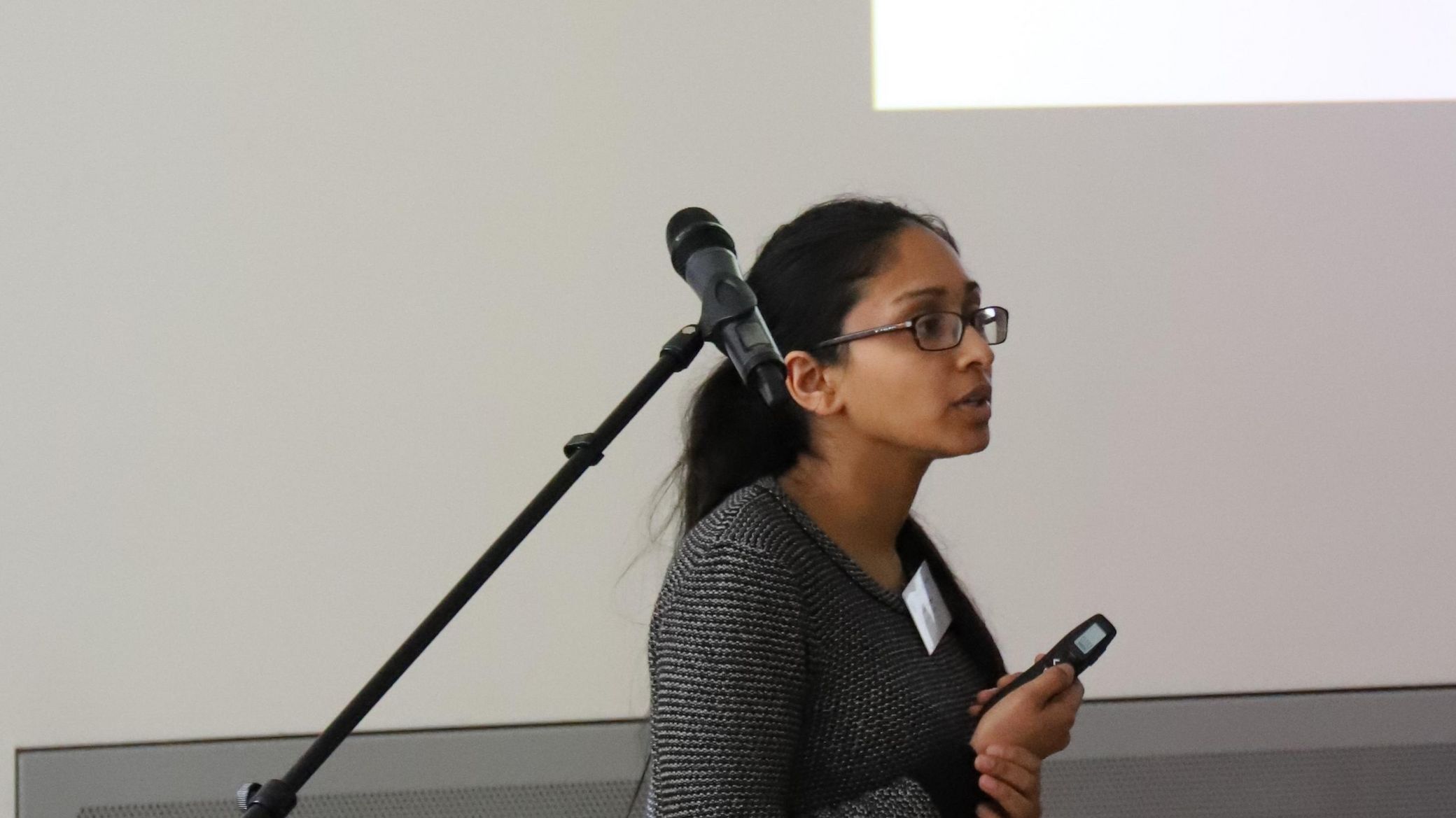 Collaborative Workshop on "Scales and scaling cascades in geophysical ...